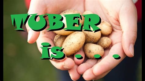 Tuber is...... - YouTube