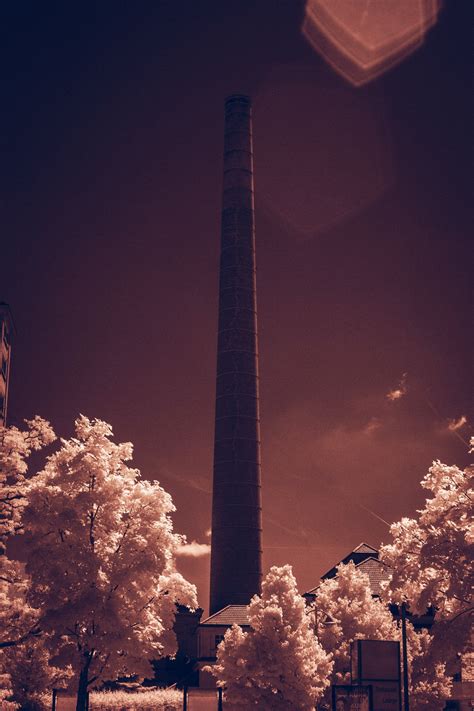 Infrared on Behance