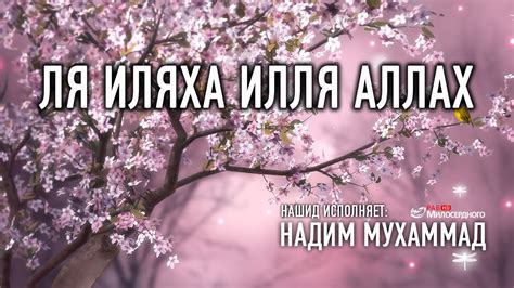 Нашид: ЛЯ ИЛЯХА ИЛЛЯ АЛЛАХ ᴴᴰ - YouTube