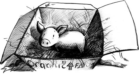 Джордж и тайны Вселенной | Стивен Хокинг, Люси Хокинг | LoveRead.ec ...