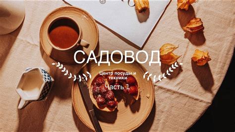 Центр посуды и бытовой техники часть 1 - YouTube