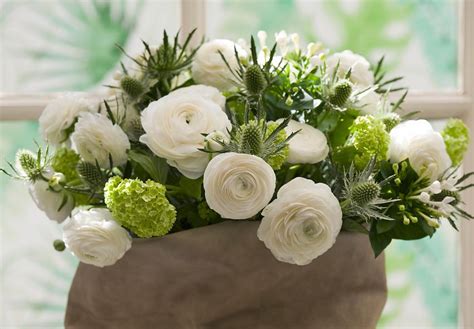 Самые красивые и популярные растения для праздничного зала
