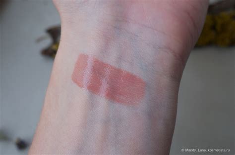 Stellary Idealist Lip Gloss № 19 F "Медовый изюм" | Отзывы покупателей ...