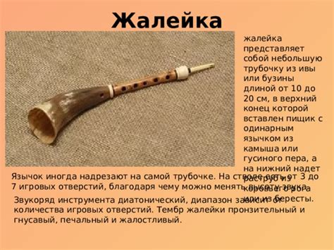 Презентация Русские народные инструменты