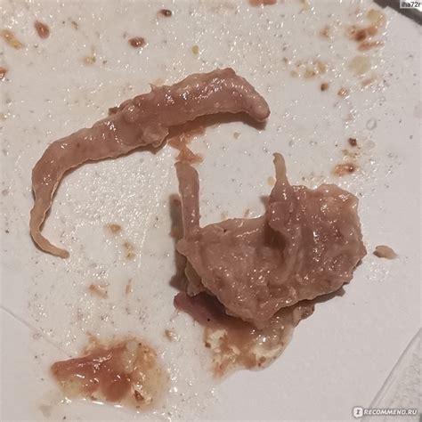 Консервы мясные Село Зелёное Говядина тушёная - «Месиво из отходов ...