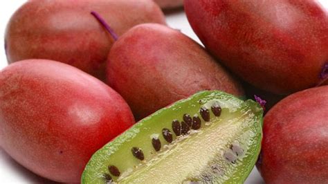 Ken's Red - Actinidia chinensis - Fruithof