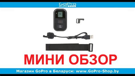 Wi-Fi пульт для GoPro обзор by gopro-shop.by - YouTube