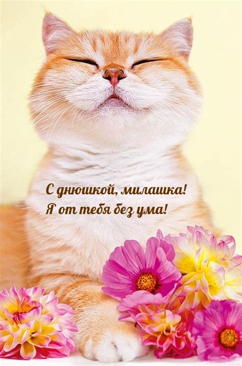 Картинки с надписью - С днюшкой, милашка! Я от тебя без ума!.