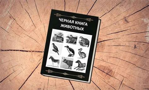 Фотографии Черной Книги – Telegraph