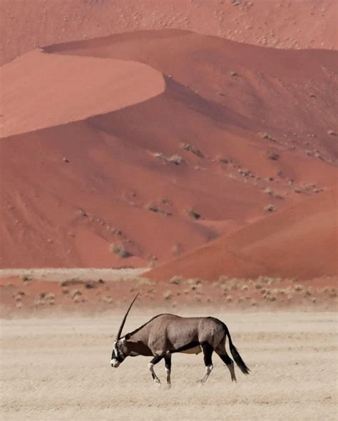 BAYA Africa - Luxury Travel Design