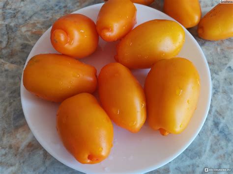 Томат Гном Банановые Пальчики/Dwarf Banana Toes - «Очень хороший и ...
