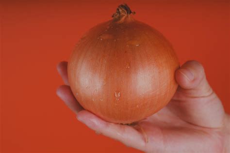 Как вырастить крупный лук из семян и из севка