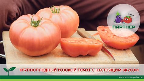 Томат Скворец Описание Фото Отзывы – Telegraph