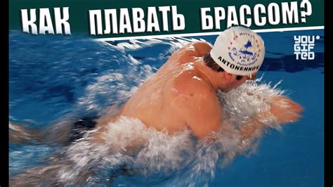 Как правильно плавать брассом? Данил Антоненков. - YouTube