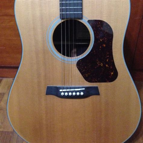 [Pending] Walden D560 Acoustic Guitar, Hobbies & Toys, Music & Media ...