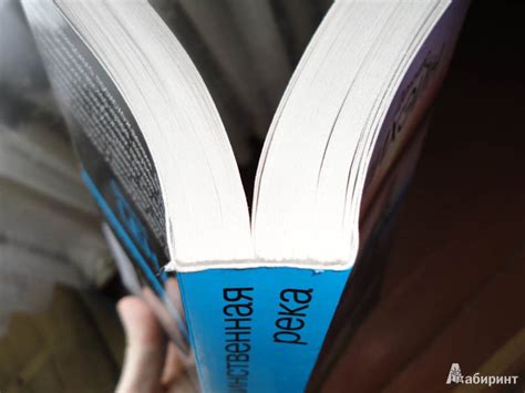 Книга: Таинственная река - Деннис Лихэйн. Купить книгу, читать рецензии ...