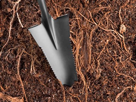 PARKSIDE® Spaten »PSWS 16 A1«, mit Wurzelsäge und Stah…