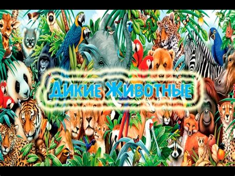 Коллекция диких животных!!! Киндер сюрприз. // Wild animals collection ...