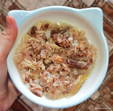 Паучи для кошек Schesir тунец и курица с креветками - «Филе тунца и ...