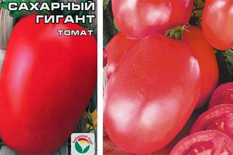 Томат Сахарный гигант: характеристика и описание индетерминантного ...
