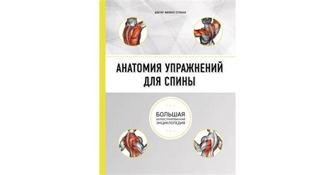 Анатомия упражнений для спины — купить в Эстонии | Доставка по Европе