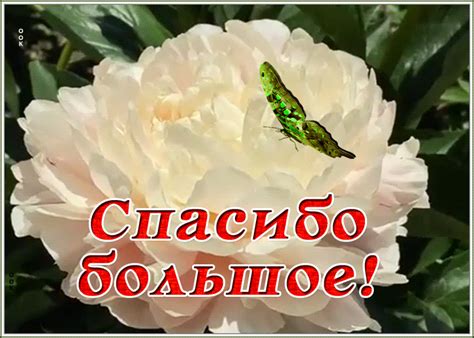 Картинка со словом спасибо | Открытки Онлайн