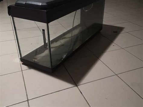 Aquarium 150l - 1poisson