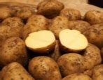 Сорта картофеля — список по алфавиту