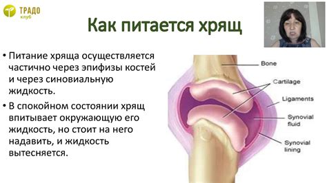 Как сохранить суставы здоровыми? - YouTube