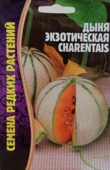 Дыни Дыня экзотическая Charentais 15 шт РЕДКИЕ - купить по выгодным ...