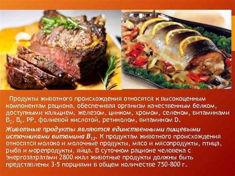 Биологическая ценность продуктов животного происхождения Продукты животного