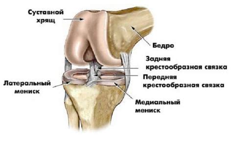 Перелом коленного сустава и проблемы, связанные с его лечением