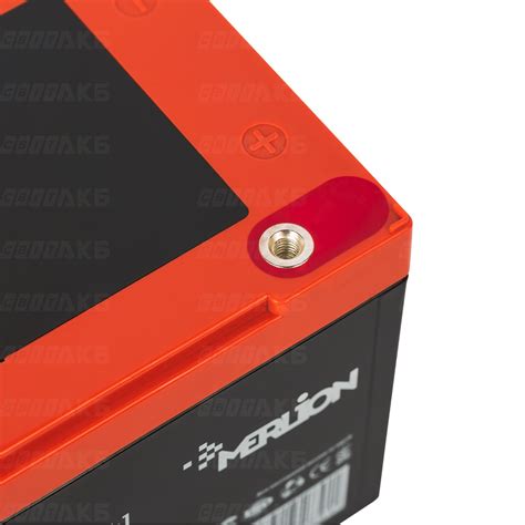 Аккумулятор Merlion 12V 14Ah EV 6-DZM-14M5 купить | Бесплатная доставка