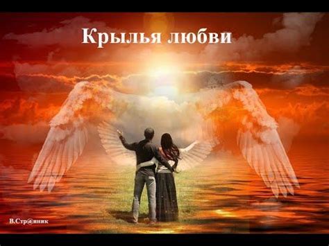 Крылья любви | Movie posters, Poster, Movies