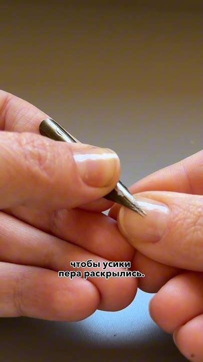Какое острое перо выбрать для каллиграфии? Тест Звёздочки, советское ...