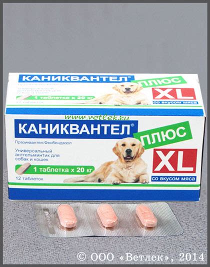 Каниквантел Плюс XL, блистер 3 таб. купить в ветеринарном интернет ...
