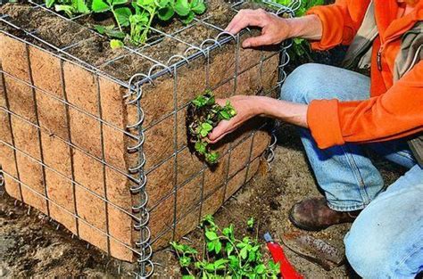 Высокая грядка из габионов | Клумбы, Садоводство, Огород