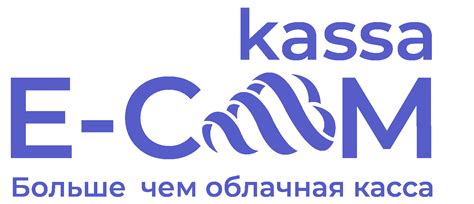 E-com kassa - кассовые и платежные решения