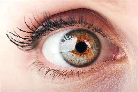 Eye
