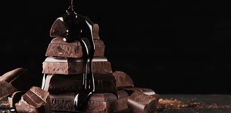 Chocovia Chocolatier