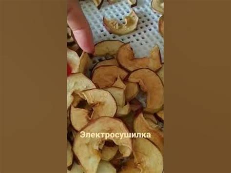 сушилка для яблок и не только - YouTube