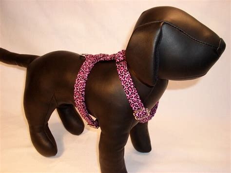 Matching Harnesses by Swanky Pet - Etsy