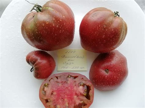 2274- Crimson from ZUZI / Вишнёвый от Зузи | Tomatoeden