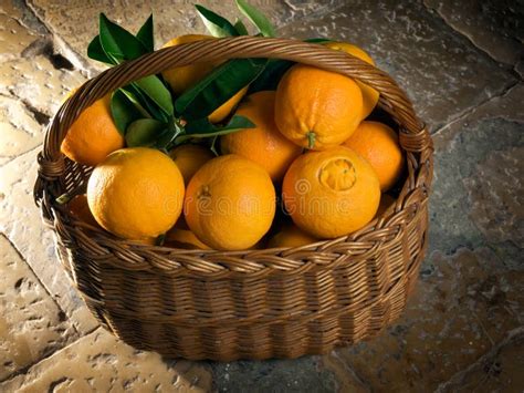 Oranges in Rustic Basket in Vintage Still Life Stock Image - Image of life, fruit: 15643169