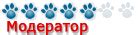 Pets Inform • Просмотр темы - когда начинать подкармливать котят и чем
