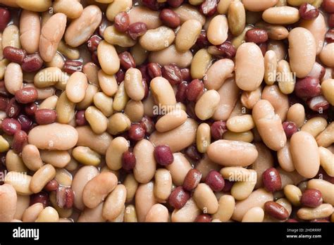 azuki bean, cannellini, azuki, azuki beans, cannellinis Stock Photo - Alamy