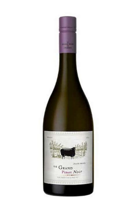 Grand Noir Pinot Noir - Red wine