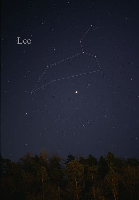 Leo - Wikidata