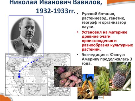 Презентация Южная Америка 7 класс по географии – скачать бесплатно pptx
