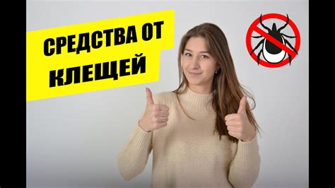 САМЫЕ ЛУЧШИЕ СРЕДСТВА ОТ КЛЕЩЕЙ ДЛЯ ВАШЕЙ СОБАКИ | ТАБЛЕТКИ, ОШЕЙНИКИ ...